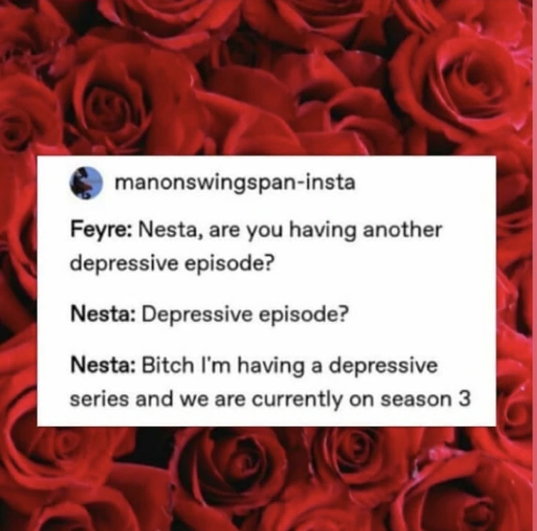 Sjm things from insta | Fandom