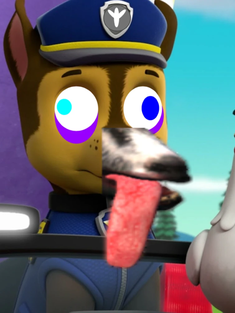 Discuss Everything About PAW Patrol Crossover: The Newest Beginning ...