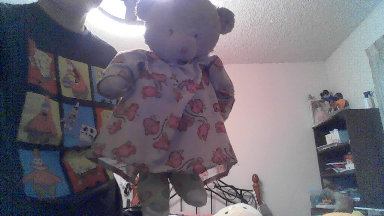 todays bring ur stuffed animal to school today :D | Fandom