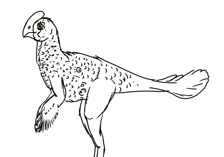 Oviraptorid practice art | Fandom