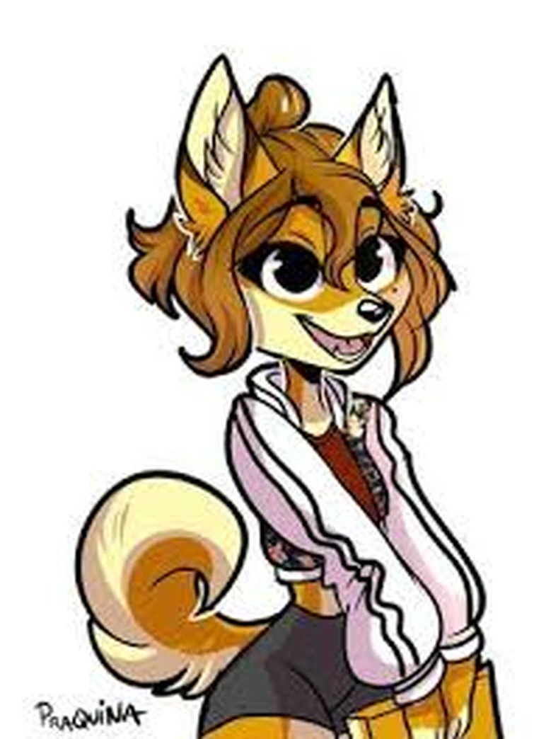 I need another shiba inu pfp | Fandom