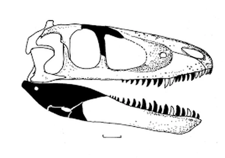 My art of Alectrosaurus: | Fandom