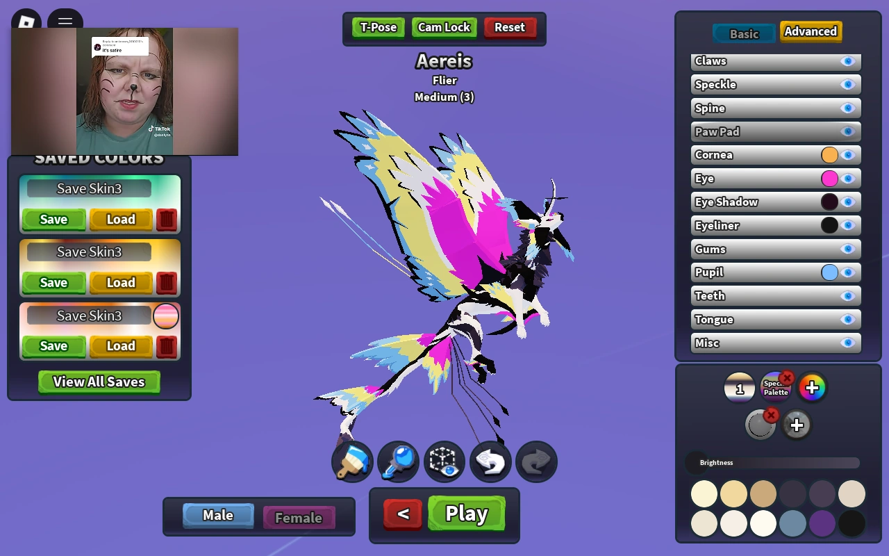 Haagagshhs the pans flag aer | Fandom