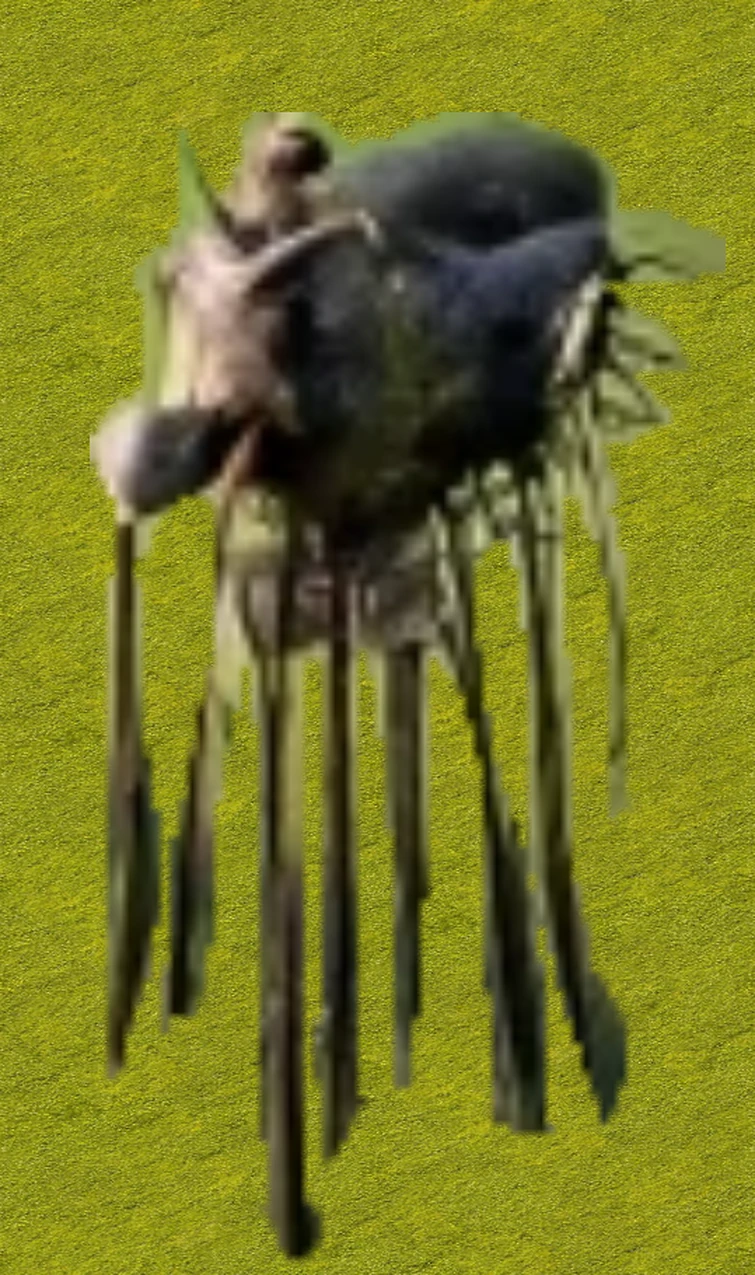 who even is this guy | Fandom