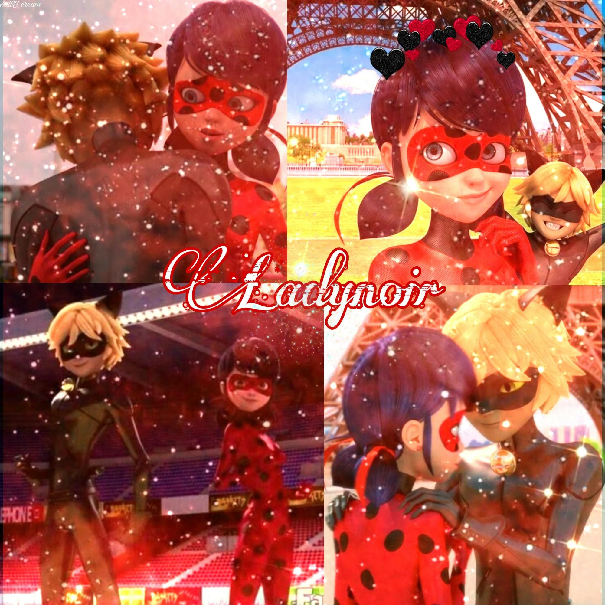 Ladynoir | Fandom