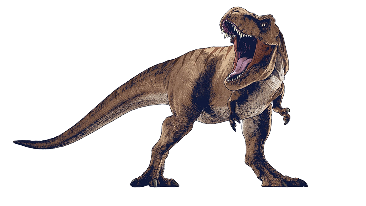 Sorry that I was gone | Fandom