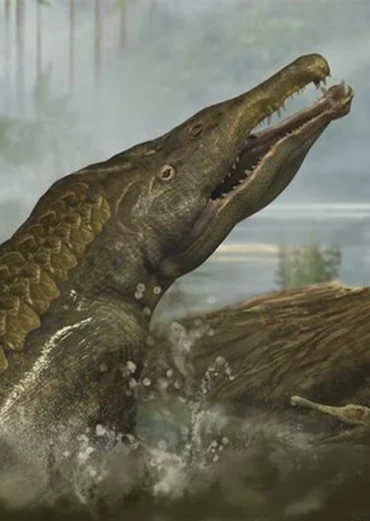 America WDYLM:Preliminary Round(3/40) | Fandom