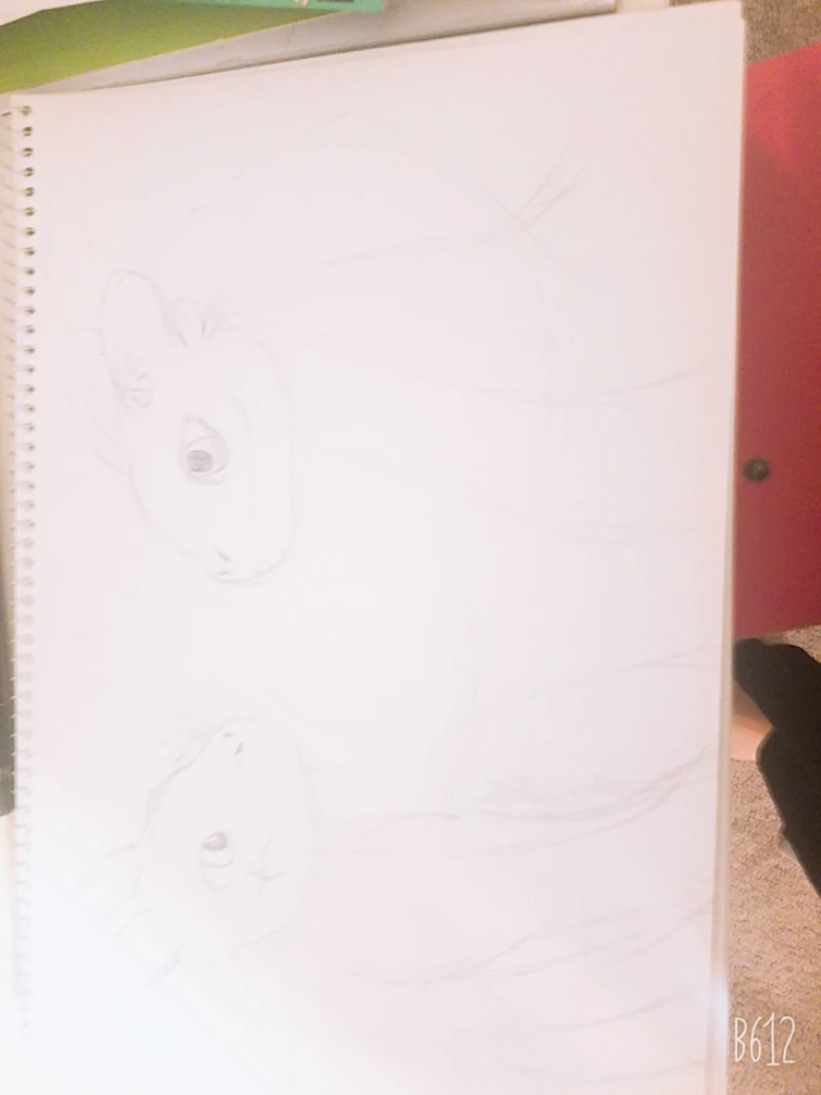 Toothless's parents | Fandom