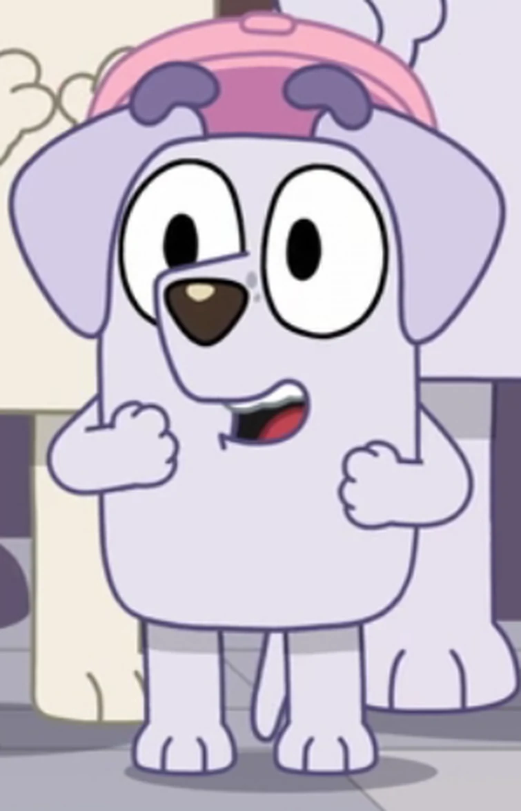 Discuss Everything About Bluey Wiki | Fandom