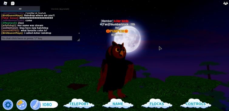 Discuss Everything About Feather Family Wiki | Fandom