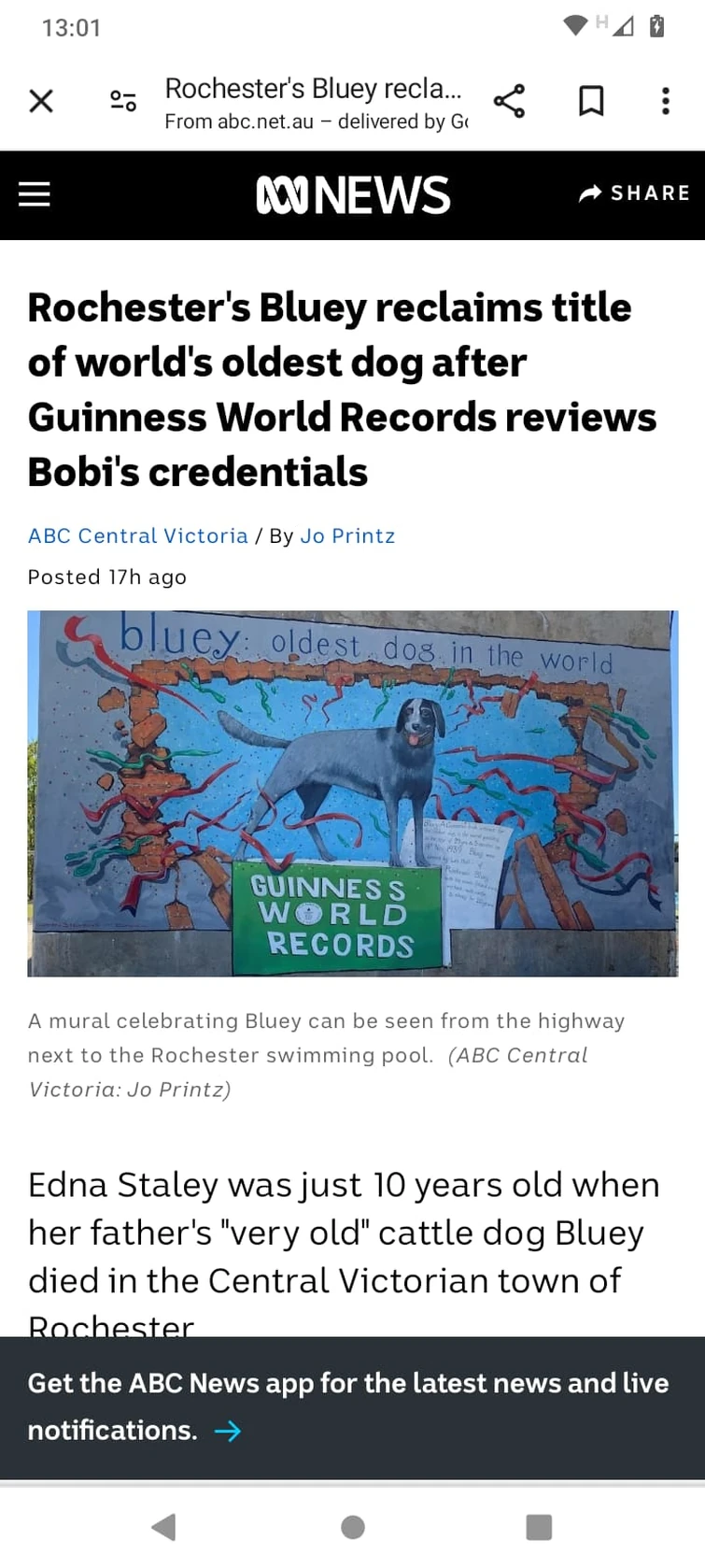 Coincidentally, there was a real life dog named Bluey... | Fandom