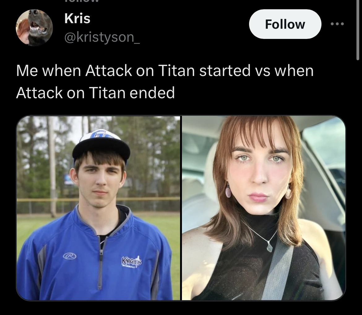 Gotta have em Attack on Titan Ribs | Fandom