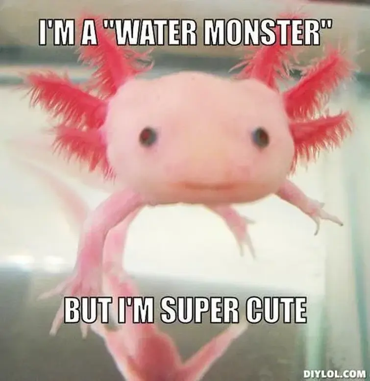 nope nope nope | Fandom