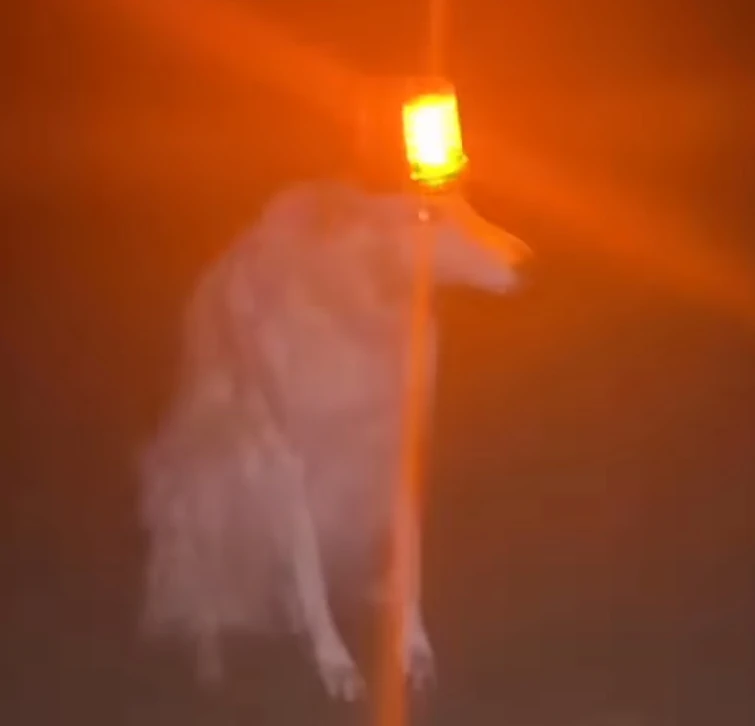 How I image Rui using his magic | Fandom