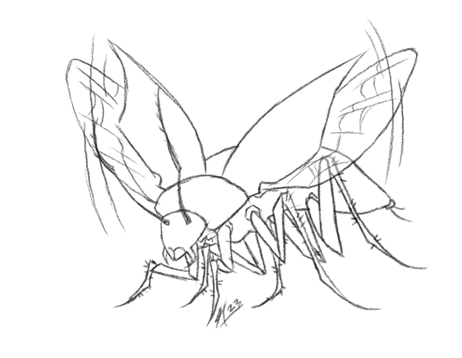 Roach doodle TW for bugs obv | Fandom