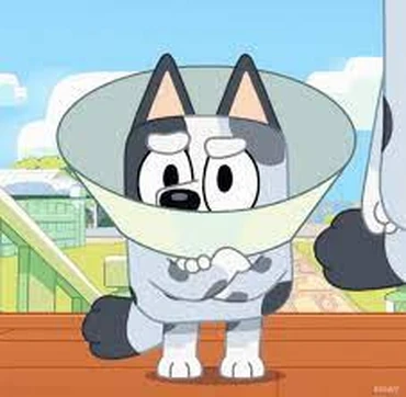 Discuss Everything About Bluey Wiki | Fandom