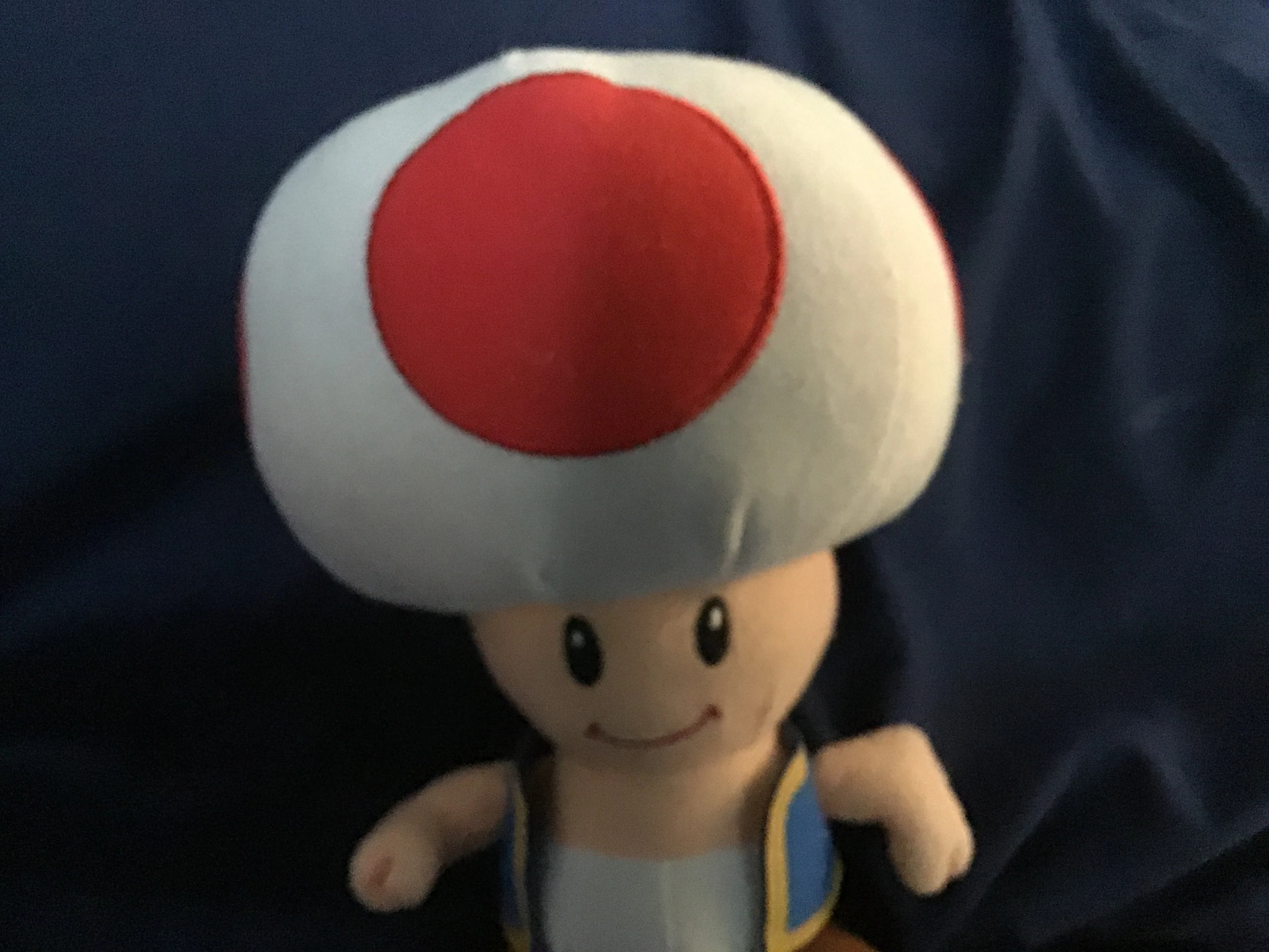 Is this the Sml toad plush? I can’t tell. | Fandom