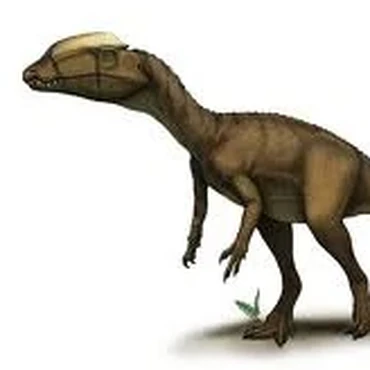 Discuss Everything About Dinopedia | Fandom