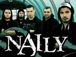 NAILY | Fandom