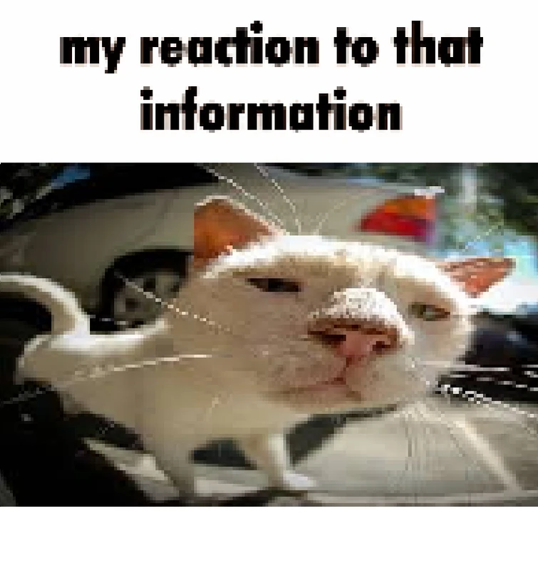 Every time of you see this meme | Fandom