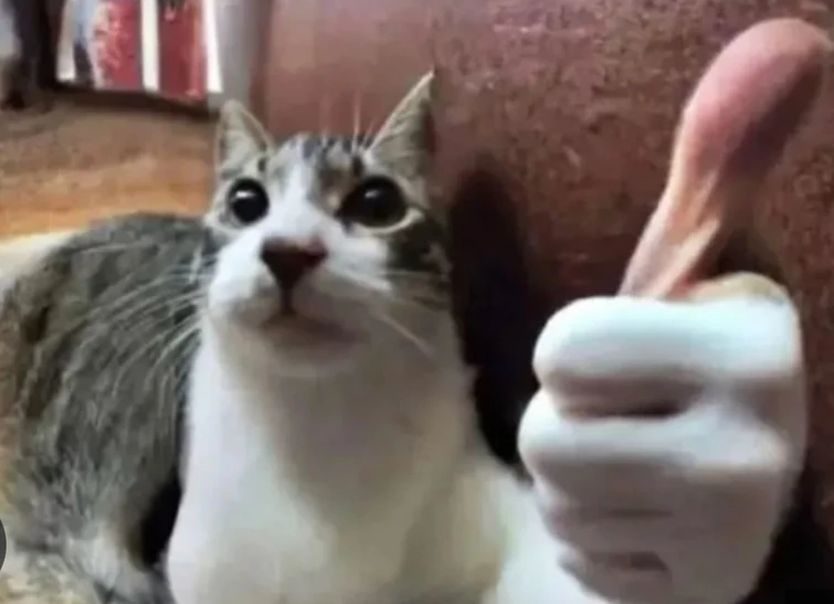 PART 2 UNDERTALE X DANDY'S WORLD (DANDYTALE) | Fandom