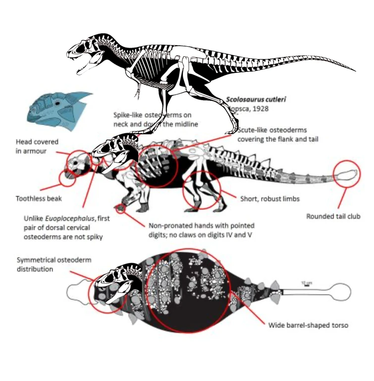 Discuss Everything About Dinopedia | Fandom