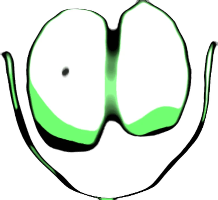 Oopies | Fandom
