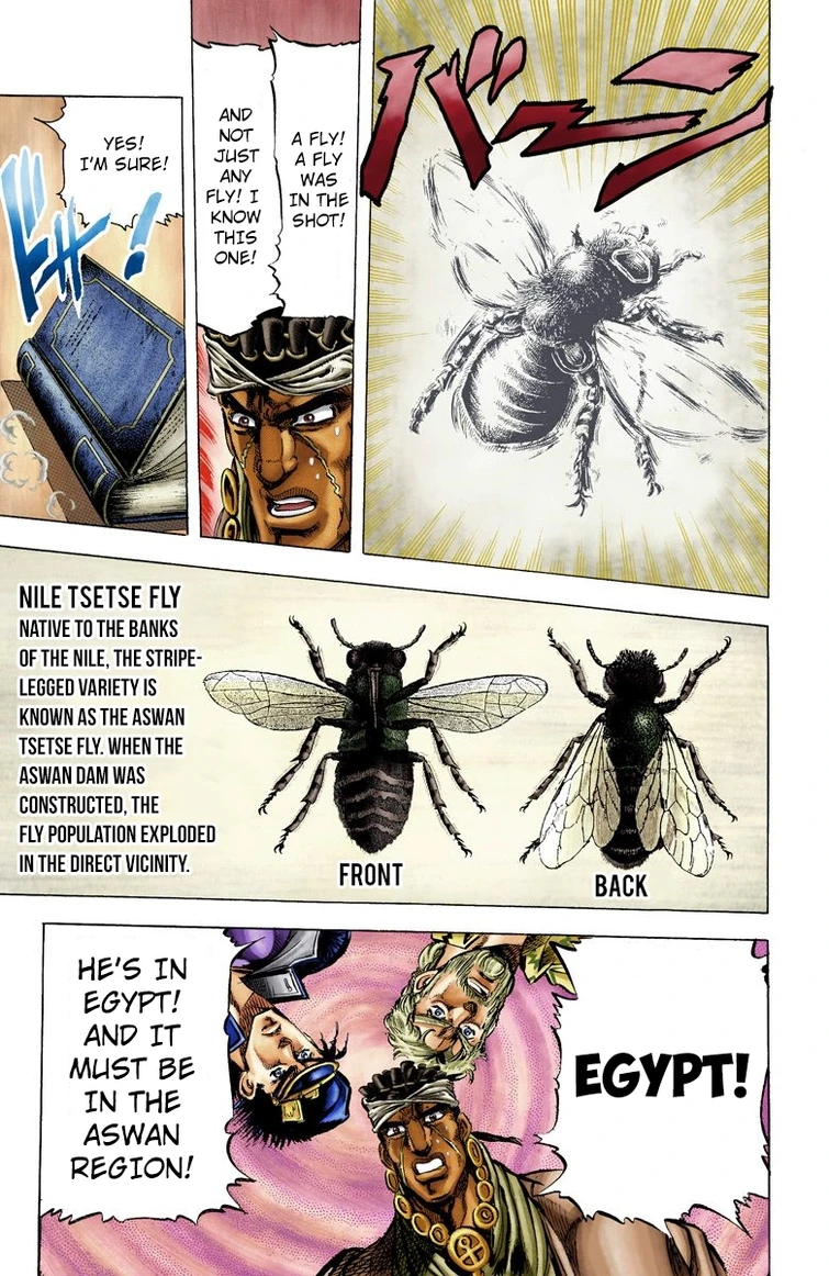 Jojo Facts (JoJoke) | Fandom