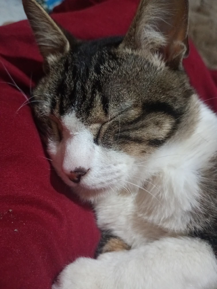 Feeling not too well | Fandom