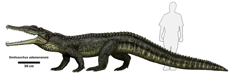 Discuss Everything About Dinopedia | Fandom