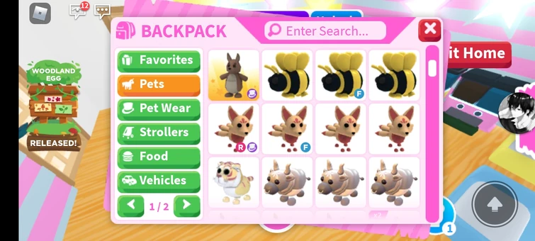 Discuss Everything About Adopt Me! Wiki | Fandom