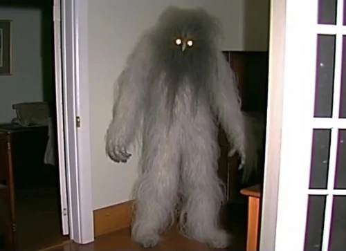 Cursed Mammott | Fandom