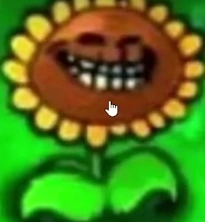 flower after winning bfb | Fandom