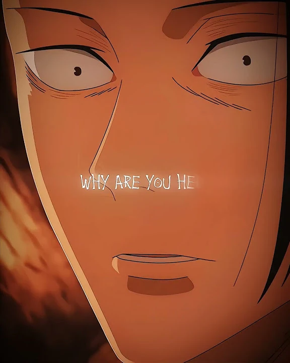 Guess whose back | Fandom