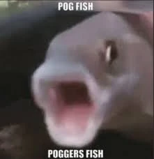 pog fish | Fandom