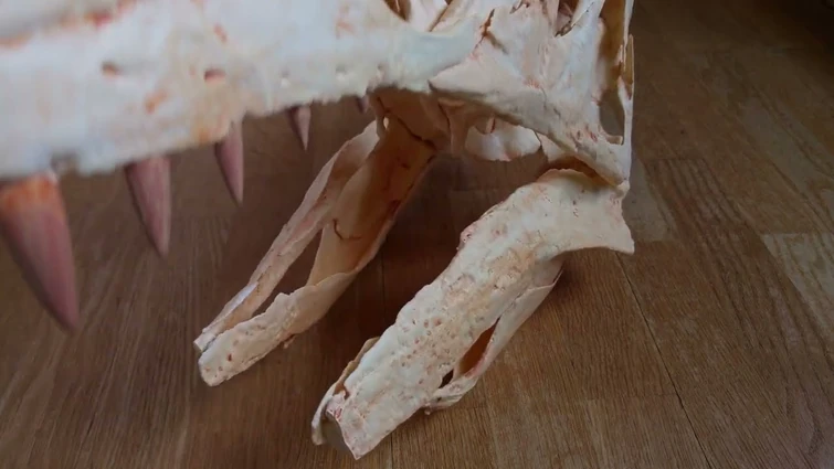 Irritator osteology is out | Fandom