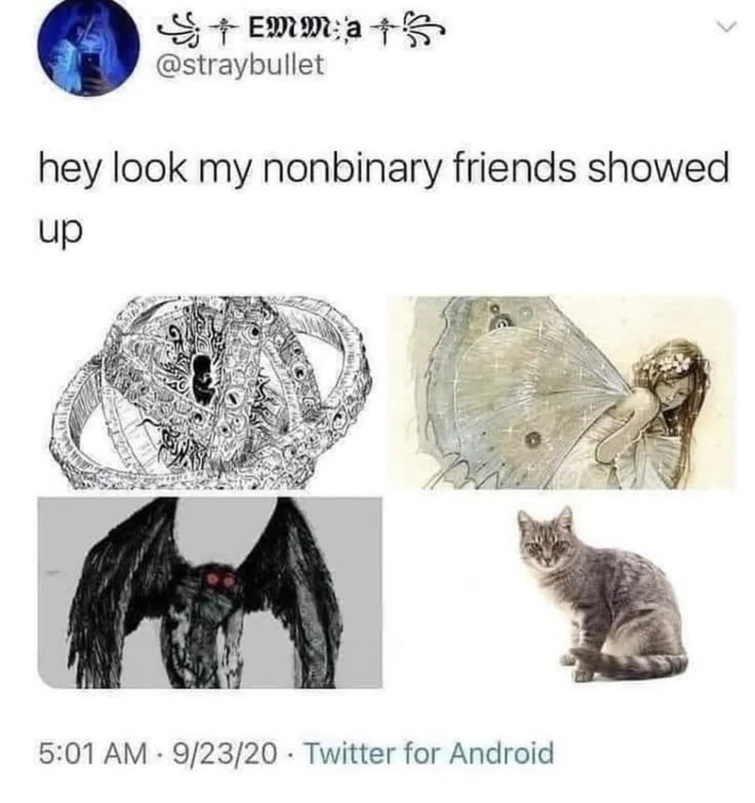 Nonbinary Memes | Fandom