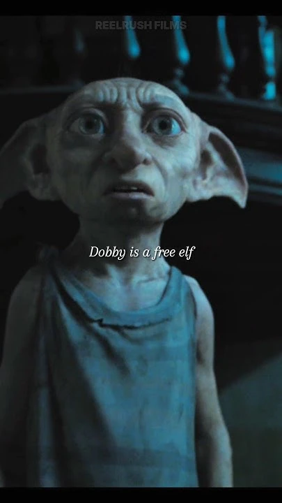 dobby | Fandom