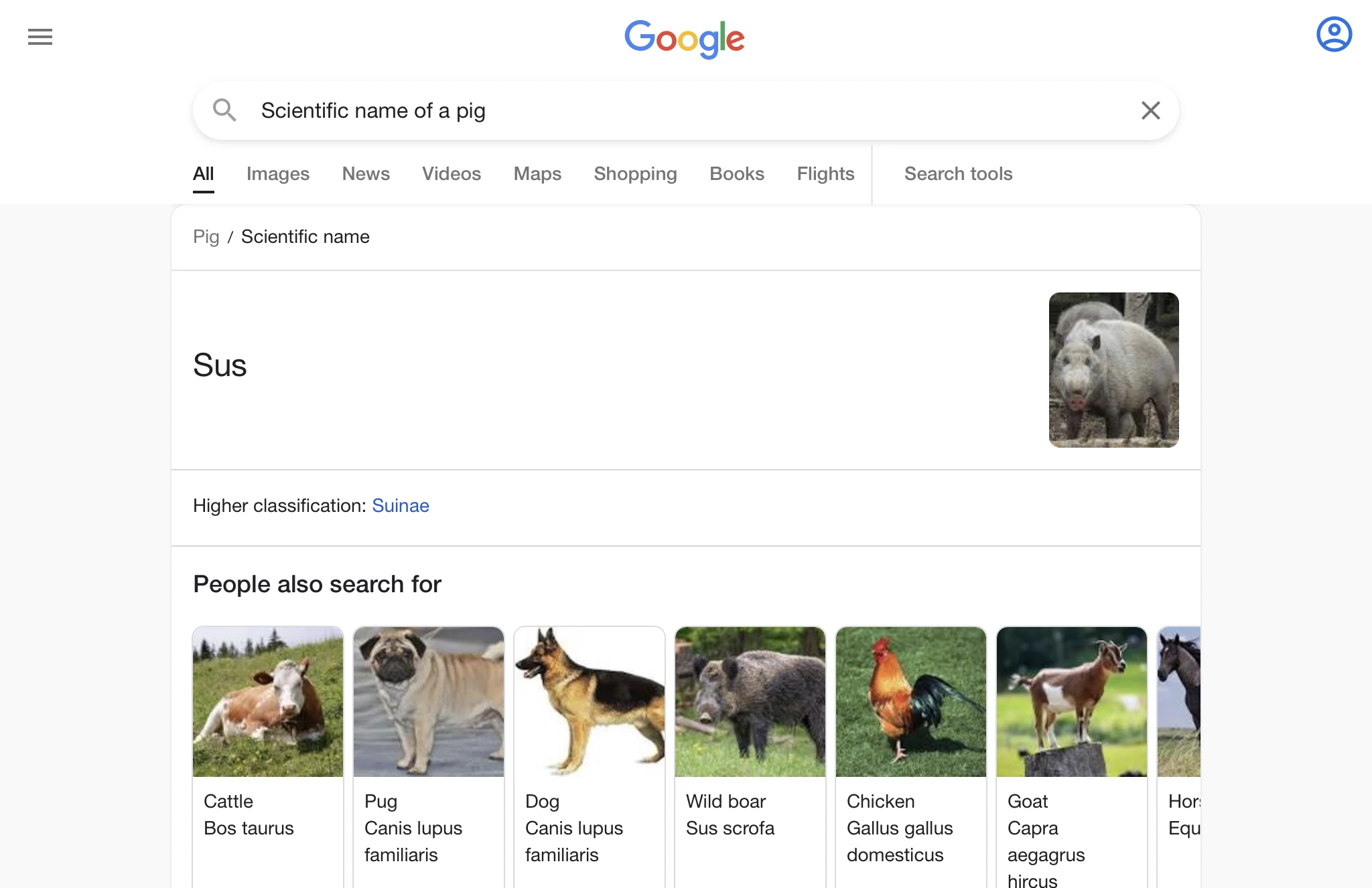 The scientific name for a pig is sus | Fandom