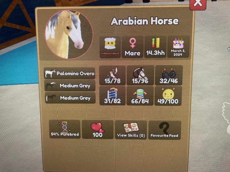 I just bred a palomino overo Arab :O | Fandom