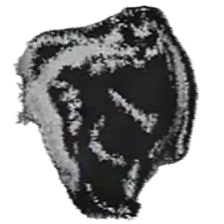 Message to those who are making “all ages” Roblox sus games with R63 ...