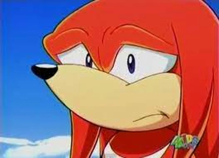 Knuckles' Eyes Bother Me | Fandom