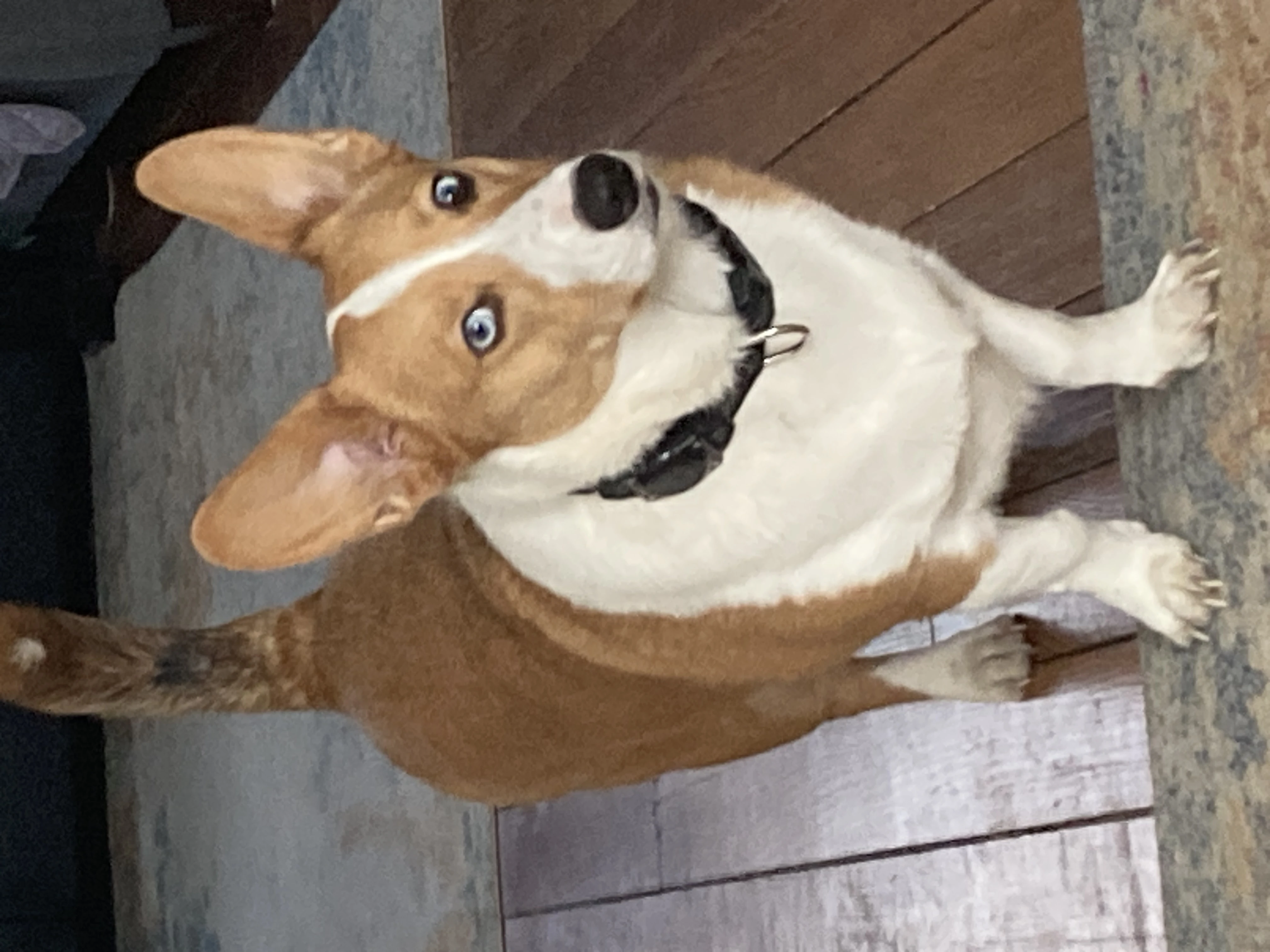 Bread from object invasion irl spotted | Fandom