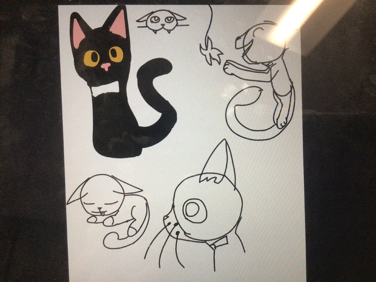 “Guess the name of the cat that Elliot and Two Time adopted in my ...
