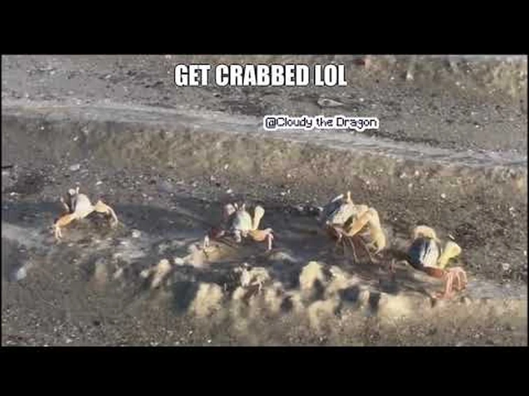 Josh, marry the crabs | Fandom