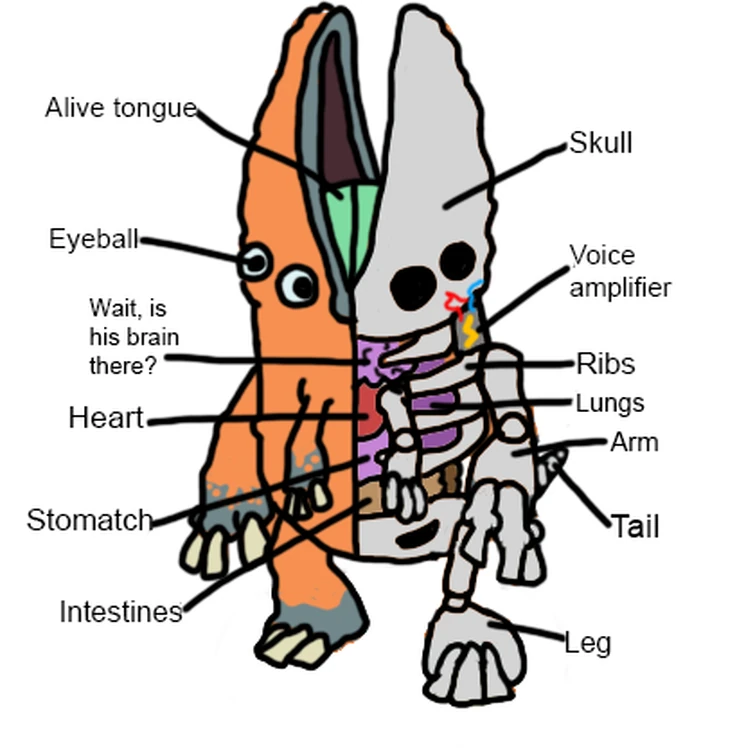 Monster Anatomy (6) | Fandom
