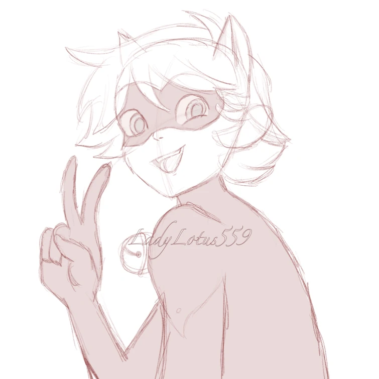 Cat Noir Fanart | Fandom