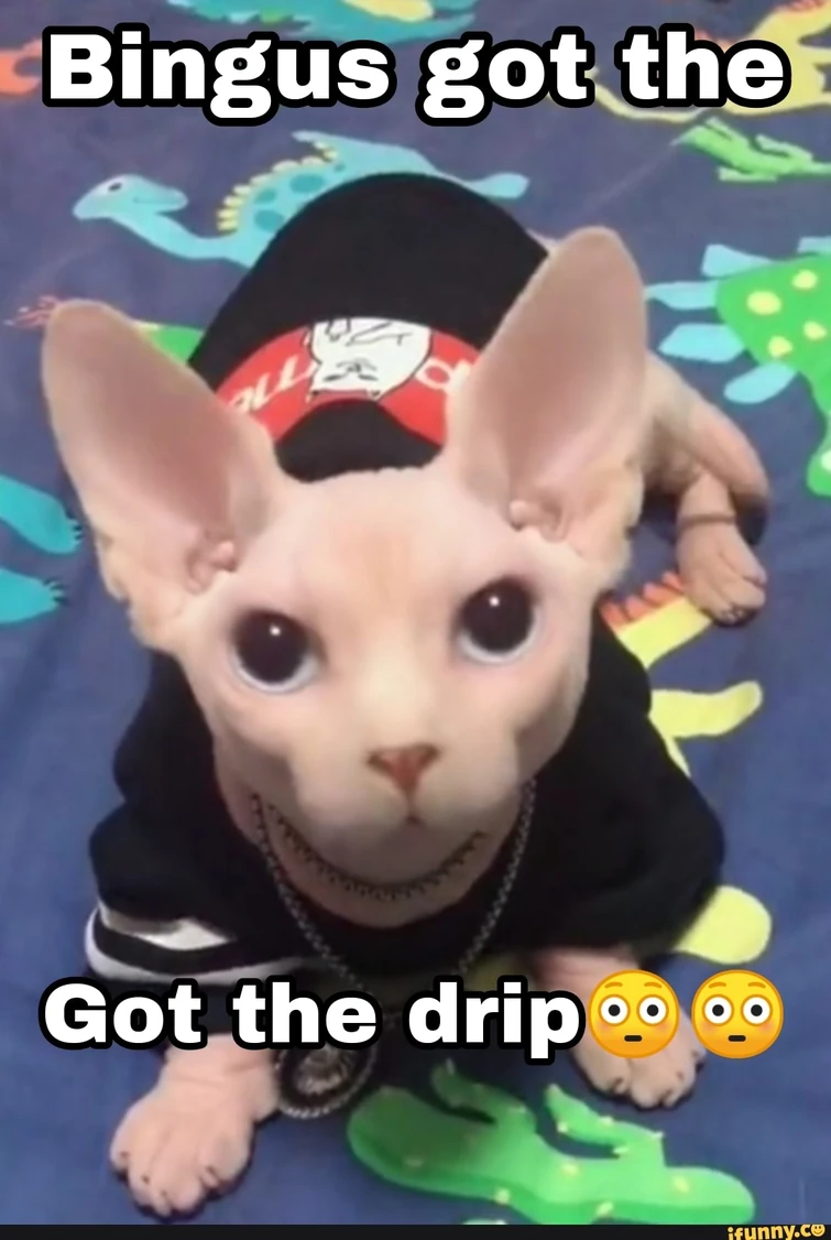 give me ideas for what to draw | Fandom