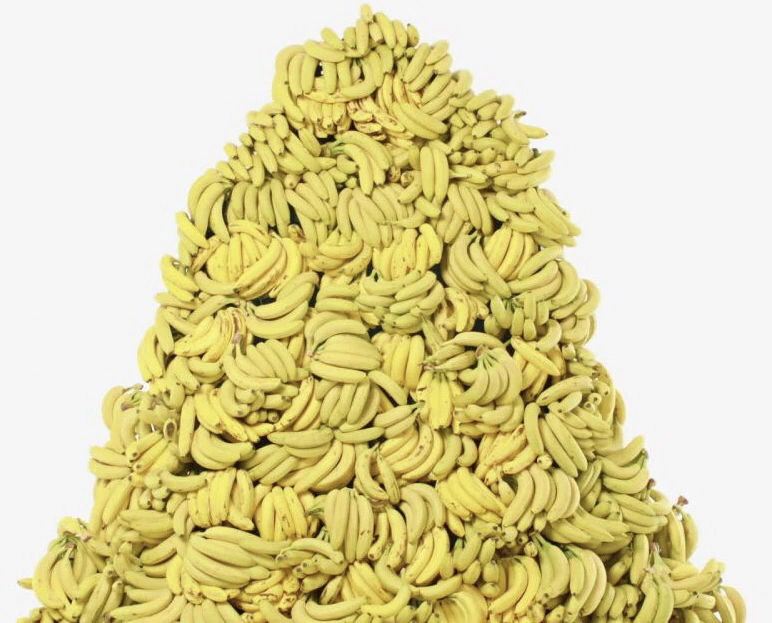 The prehistoric monke hunger games (episode 1) | Fandom