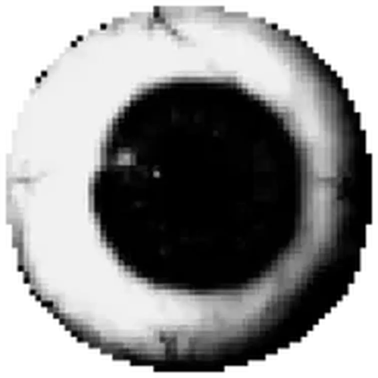 Discuss Everything About Roblox Interminable Rooms Wiki | Fandom